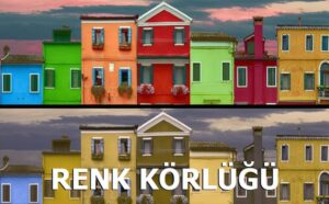 Renk Körü Testi 2022