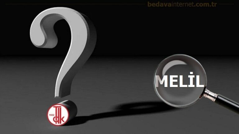 Zenne Ne Demek - ️ Bedavainternet.com.tr