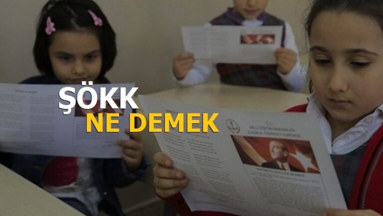 Ş.ö.k.k Ne Demek? Karnede ŞÖK Nedir, Geçti mi Kaldı mı? - Yaşam