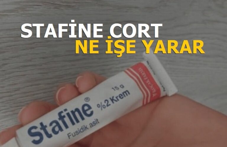 Stafine Cort Krem Ne İşe Yarar - Yaşam