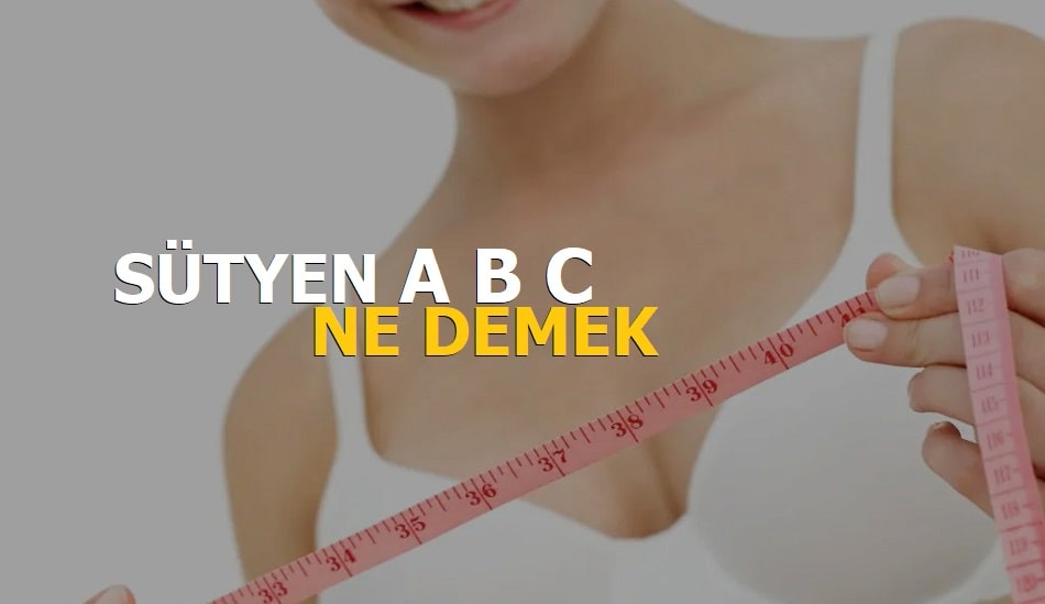 S tyen Bedenleri A B C Ne Demek Bedavainternet tr S tyen Bedenleri A B C Ne Demek Bedavainternet tr